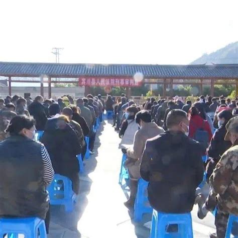 宾川法院这场庭审，向群众敲响森林防火警钟被告人鸡足山镇关村