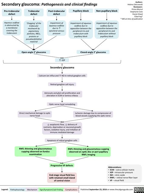 Secondary Glaucoma Pathogenesis And Clinical Findings Calgary Guide