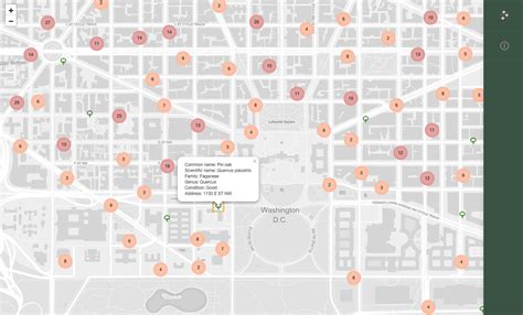 How To Make A Simple Map App Using Ruby On Rails React And Leaflet