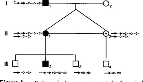 Figure 2 From Different Patterns Of X Inactivation In Mz Twins