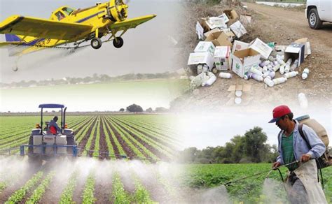 Privan Malas Prácticas En El Valle Agrícola De Sinaloa