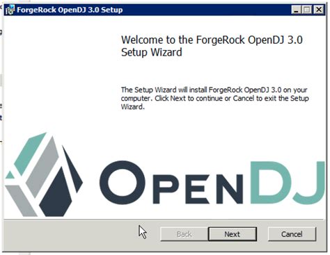 OpenDJ On Windows Ludo Sketches