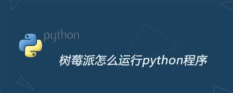 如何在树莓派上进行python编程树莓派怎么运行python程序 Csdn博客