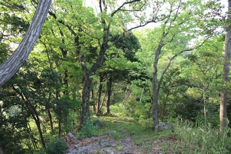 世界遺産石見銀山遺跡鞆ヶ浦道9の写真 列島宝物館
