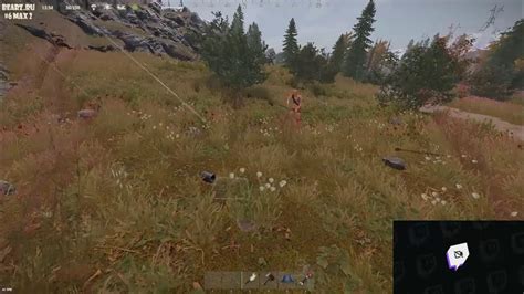 Rust Solo Youtube