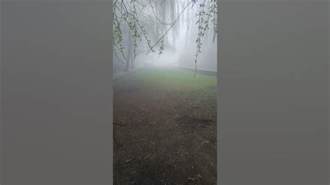 ნისლიანი ბოდბე Youtube