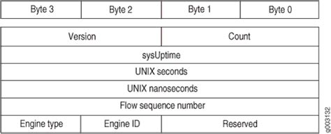 flow monitoring version 5 format output fields juniper networks