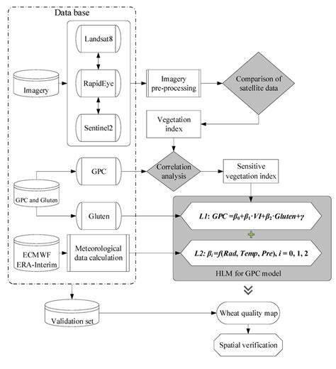 Flowchart Of Wheat Grain Protein Content Gpc Download Scientific
