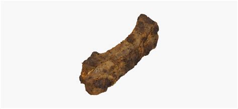 Grilled Pork Rib 01 3d Model Turbosquid 1657727