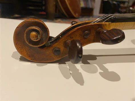 Violin Identification The Pegbox Maestronet Forums