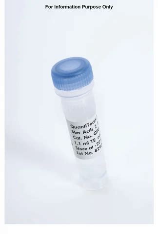 Qiagen Quantitect Primer Assays At Rs 9000 Piece Rt Pcr Test Kit In Pune Id 2854142535188