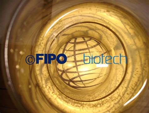 Discover The Latest Stevia Extraction Technology