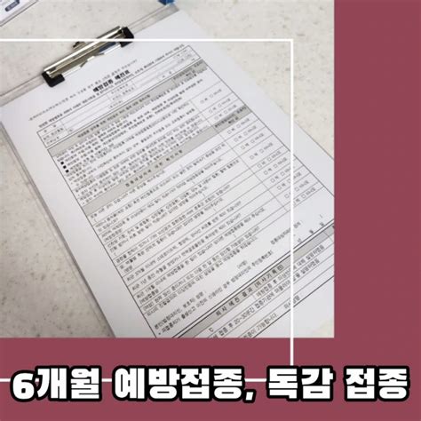 6개월 예방접종 생애 첫 독감 예방접종 후기 유박스 프리베나 펜탁심 네이버 블로그