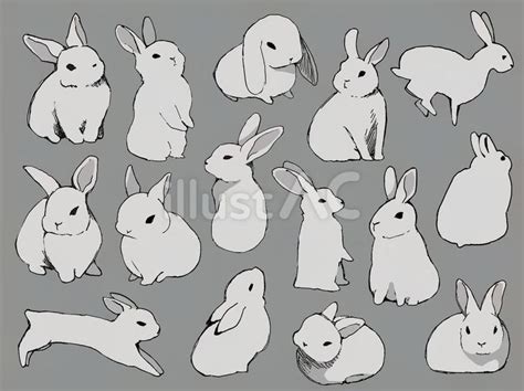 白うさぎイラスト No 23322411｜無料イラスト・フリー素材なら「イラストac」
