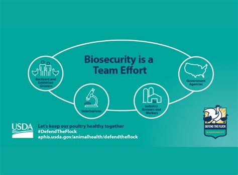 Biosecurity The Vital Steps To Keep Out Devastating Disease