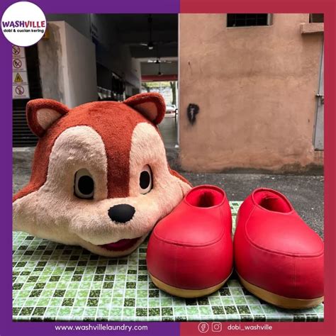 Mascot Cleaning Pickup And Delivery Laundry Expert