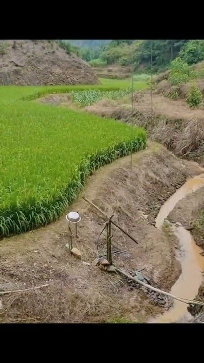 Haha This Is Amazing Tech Ytshorts Youtube