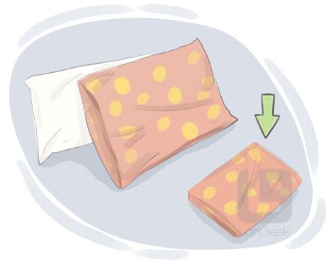 Definition And Meaning Of Case Picture Dictionary