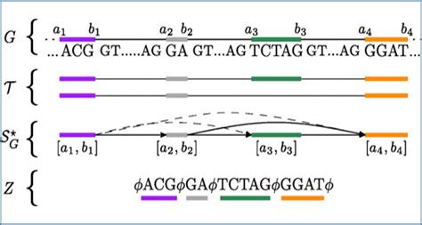 Asgal Aligning Rna Seq Data To A Splicing Graph To Detect Novel Alternative Splicing Events