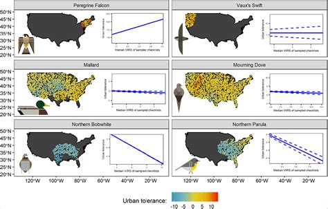 Large‐scale Spatial Variability In Urban Tolerance Of Birds Callaghan 2023 Journal Of