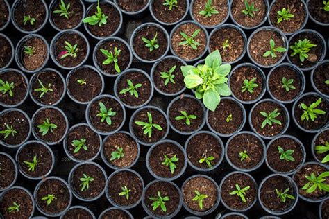 Boosting Survey Data Quality With Antifraud Technology