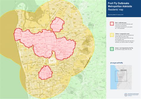 Woodville High School News South Australian Fruit Fly Outbreak