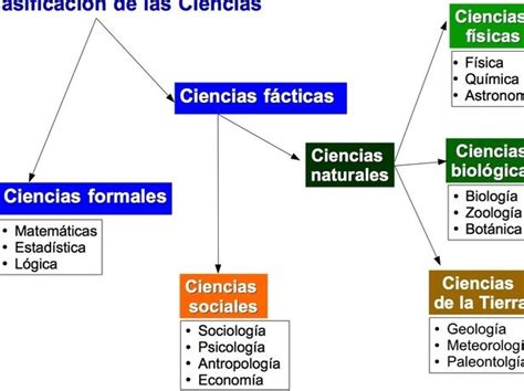Cuáles Son Las 20 Ciencias Sociales Hermanos De Armas