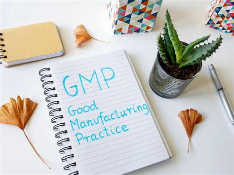 GMP là gì Phạm vi và đối tượng kiểm soát của GMP Giải Pháp Trí Việt