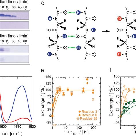 Structural Compactness Of Oligomers And Fibrils A B Digestion Of Download Scientific Diagram