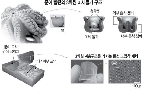 [이달의 과학기술인상] 문어빨판 응용 의료·반도체 청정패치 개발