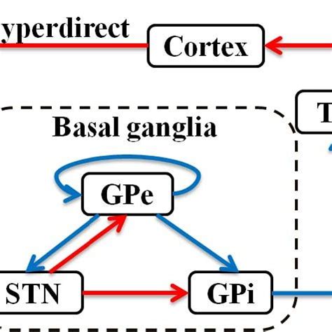 Connections In The Closed Loop Network The Red Arrows Represent Download Scientific Diagram