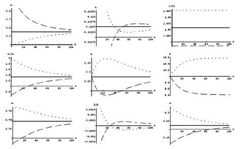 The Basic Model Without Borrowing Constraints Impulse Response Download Scientific Diagram