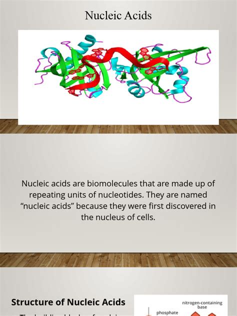 Nucliec Acid Pdf