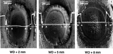 Scanning Electron Microscopy Sem Micrographs Of The Craters Produced