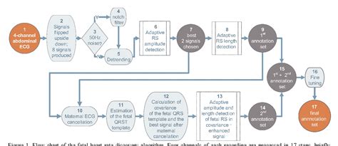 Heart Rate Flow Chart Keski