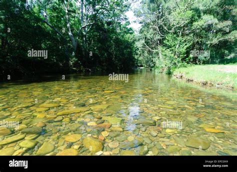 Creek Barrington Tops National Park New South Wales Australia Stock
