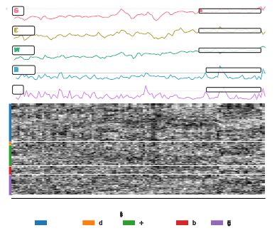 Outputs Of FMRIPrep Fmriprep Version Documentation