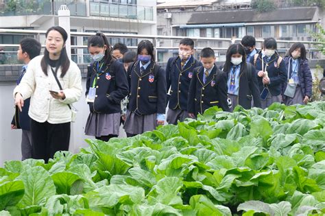 2023年两岸青少年成渝双城研学营活动举行四川在线