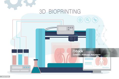 3d 바이오프린터 프린팅 신장 인간 장기 복제 조직 뼈 및 내부 장기의 바이오프린팅 개념 바이오프린터 새로운 장기 이식 기술 3차원 인쇄에 대한 스톡 벡터 아트 및 기타