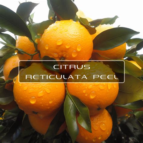 Citrus Reticulata Peel Interstellar Blends Activate Your Super Powers