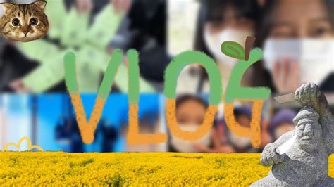 수학여행 VLOG 여고 같은 남녀공학 정신 없는 마지막 수학여행 브이로그 분요약 YouTube