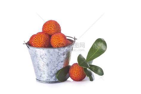 白背景上被孤立的果实叶子高清图片下载 正版图片502933360 摄图网