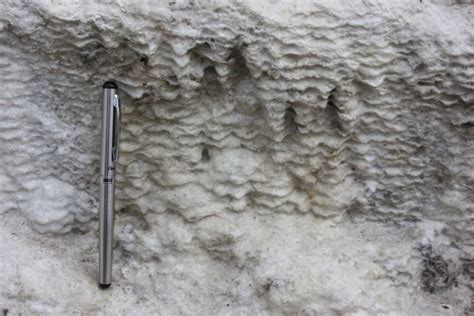 Speleothem Flowstone Attributed To Carbonate Leaching From Lime Rich