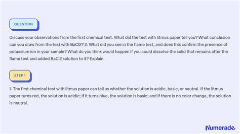 Solved Discuss Your Observations From The First Chemical Test What