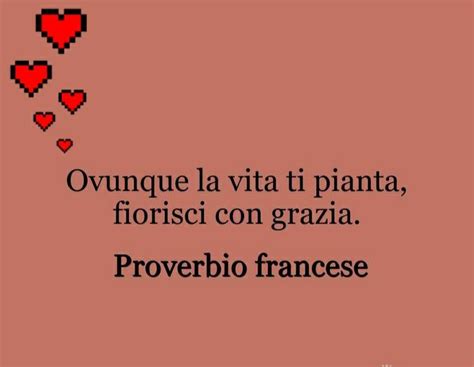 Pin Di 💕aurora💋 Su Quotes 2023 Citazioni Sagge Citazioni Citazioni