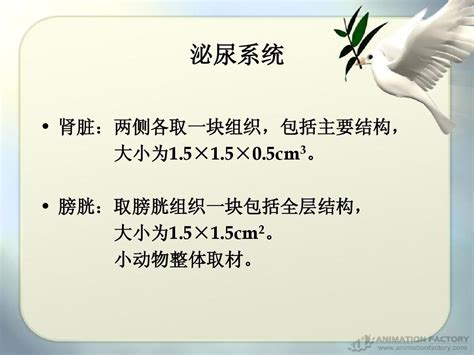 常用实验动物的比较解剖学及其脏器的病理取材方法word文档在线阅读与下载免费文档