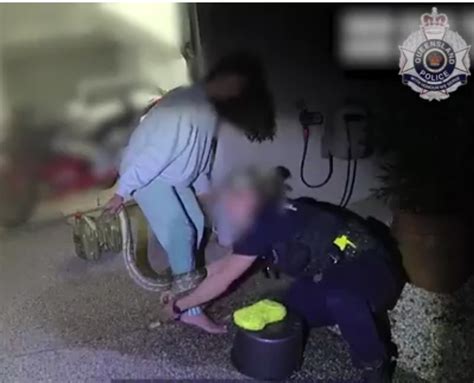 Watch Python Wraps Itself Around Womans Leg
