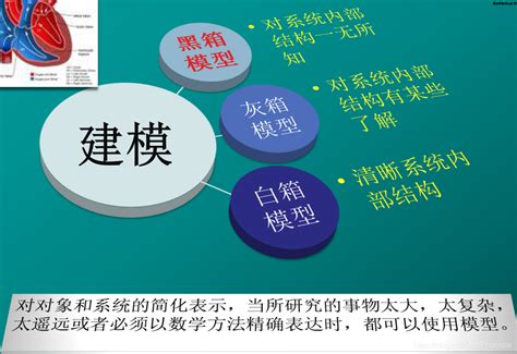 生物系统建模复习纲要 Simulink 生物建模 Csdn博客