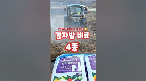 감자밭 밑거름 비료 살포 파워 성장엔 하이밸런스 하이그린 입상황산가리 입상붕사 괴산 풀뿌리농장 괴산감자 수미감자 감물감자 Shorts Youtube
