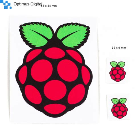 6 Raspberry Pi Stickers Set 58mm Long By 44mm Wide